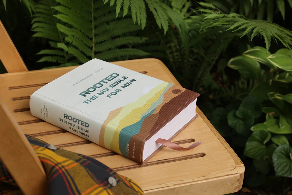 Review of Rooted: The NIV Bible for Men – Enthusiastically, Dawn