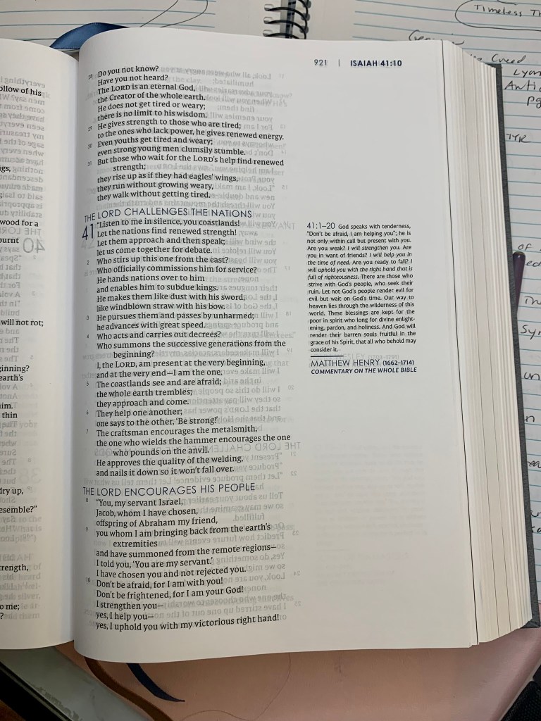 Timeless Truths Bible Review – Enthusiastically, Dawn